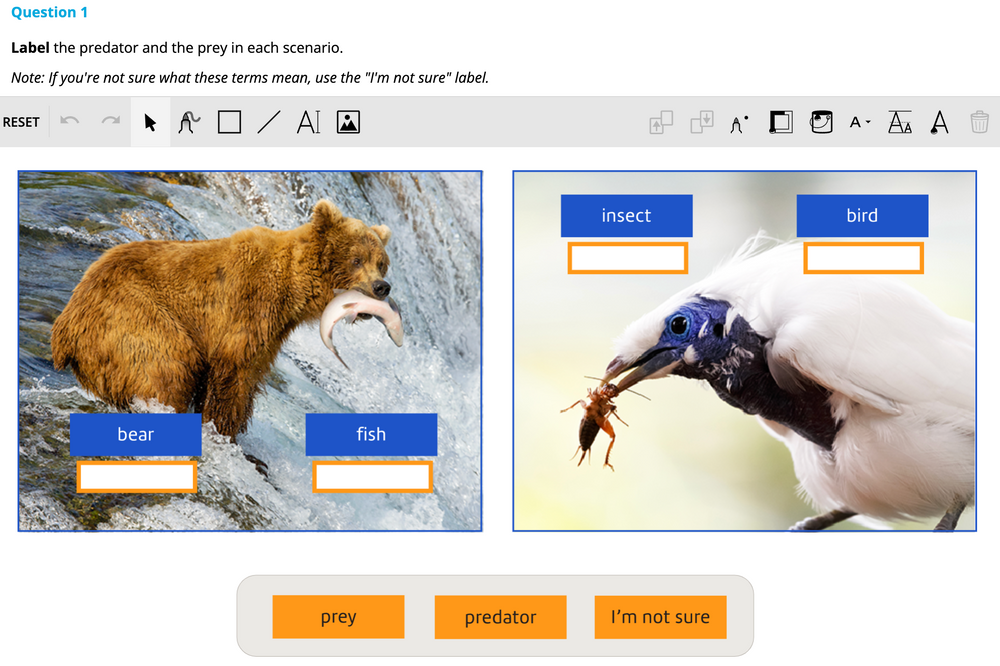 Five tips for building background knowledge in the science classroom
