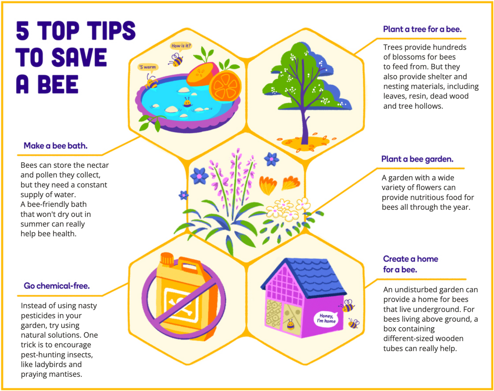 Classification and Biodiversity: Do we need to save the bees?